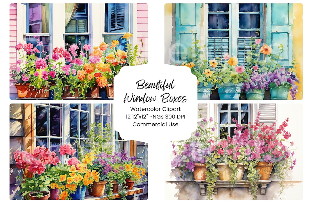 Beautiful Window Boxes Digital Paper Bundle 12 PNG Files Floral ...