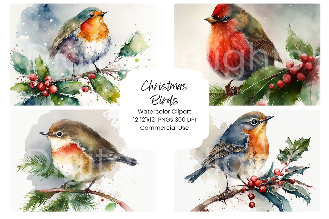 Christmas Birds Clipart Watercolor Digital Paper Bundle 12 PNG Holiday ...