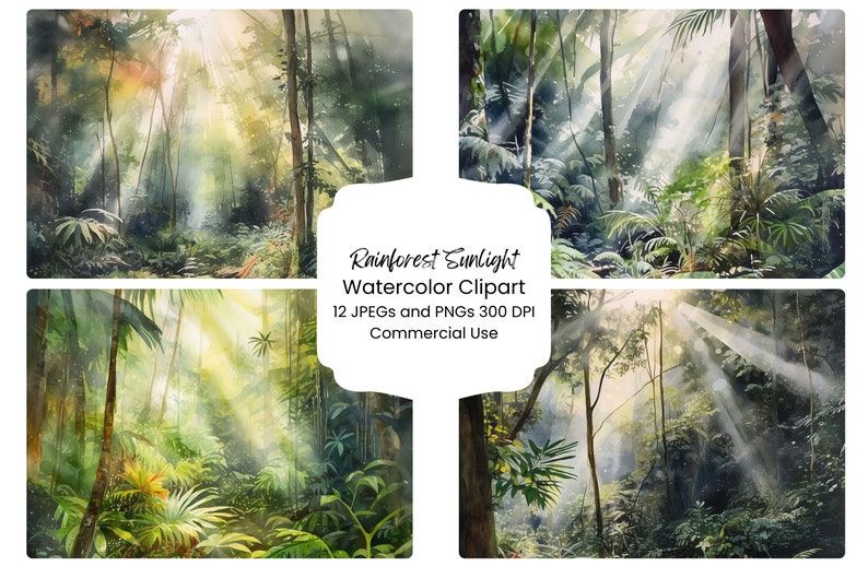 Rainforest Sunlight Digital Paper Bundle 12 PNG JPG Commercial - Etsy