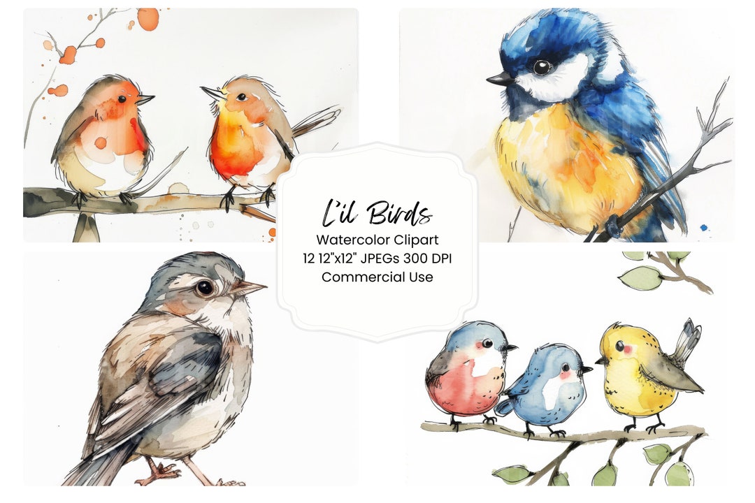 Cute Little Birds Clipart Watercolor Digital Paper Bundle 12 JPEG ...