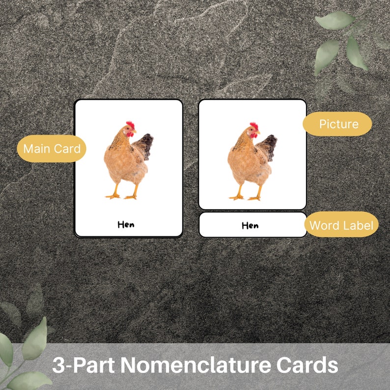 Learning FARM ANIMALS in English - 20 Real Pictures - Montessori Cards ...