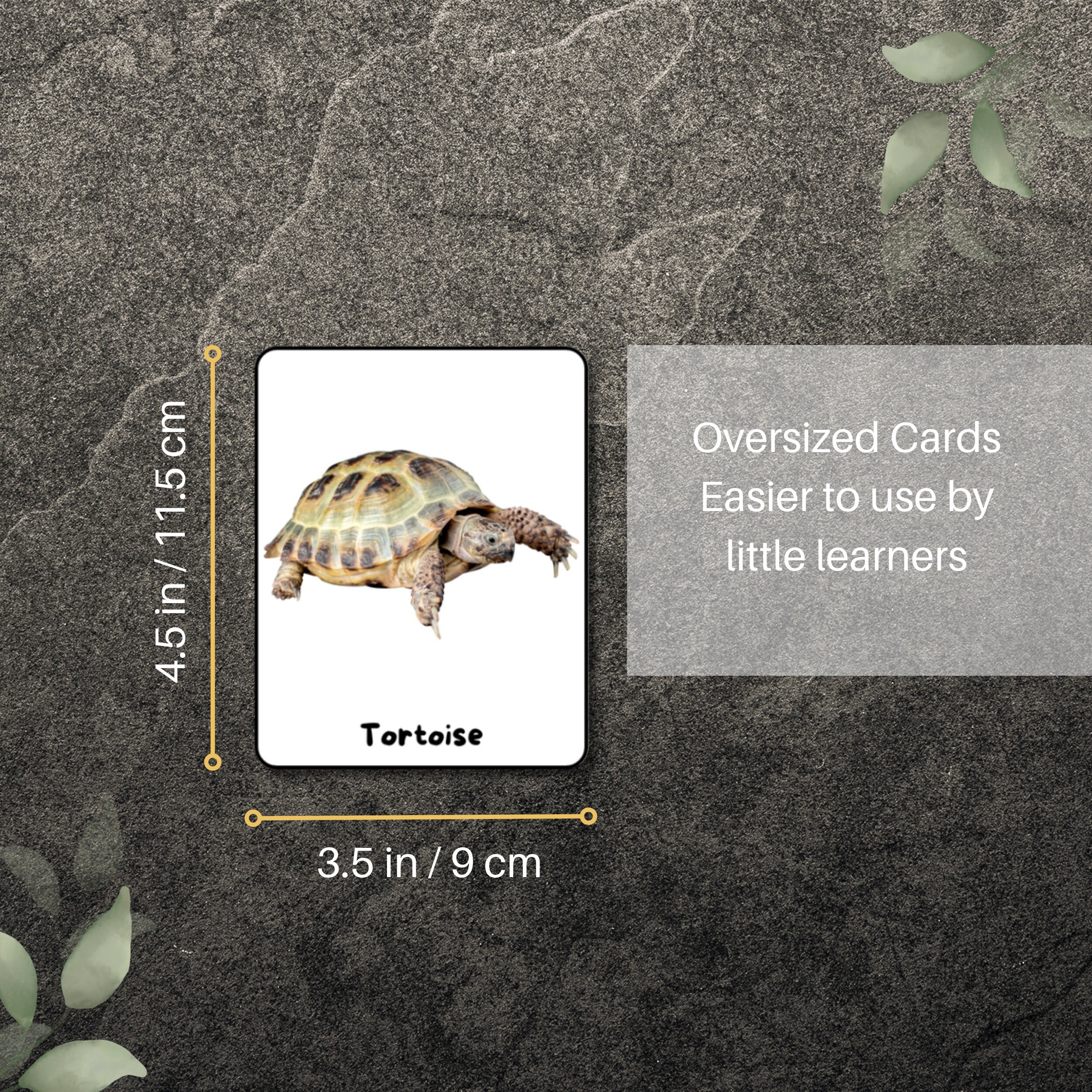 Learning JUNGLE ANIMALS in English - 20 Real Pictures - Montessori ...