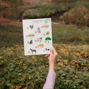 Farm Scavenger Hunt for Kids - Animals and Tools -hunt Outdoor ...