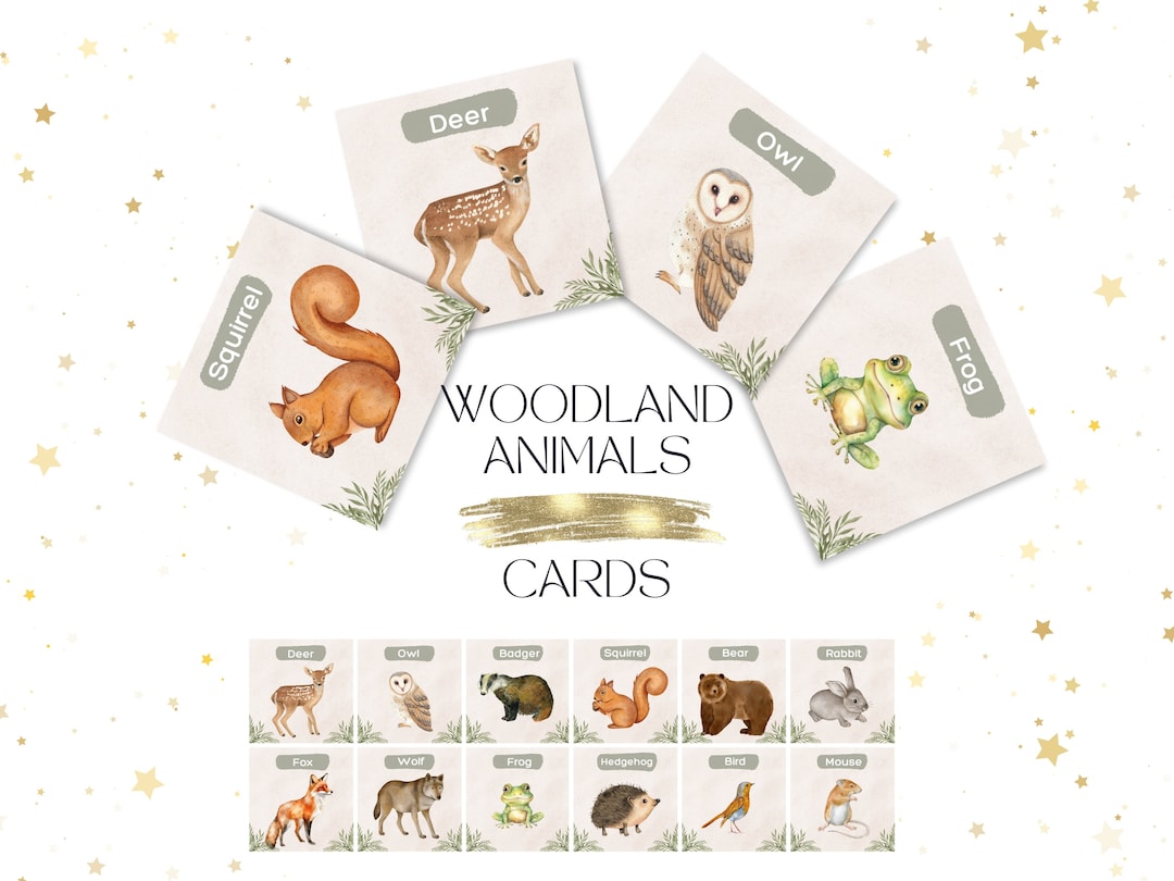 Woodland and Forest Animals 12 Flashcards. Watercolor Cards. Montessori ...
