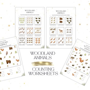 Counting Worksheets for Kindergarten. Count & Circle Activity. Woodland ...
