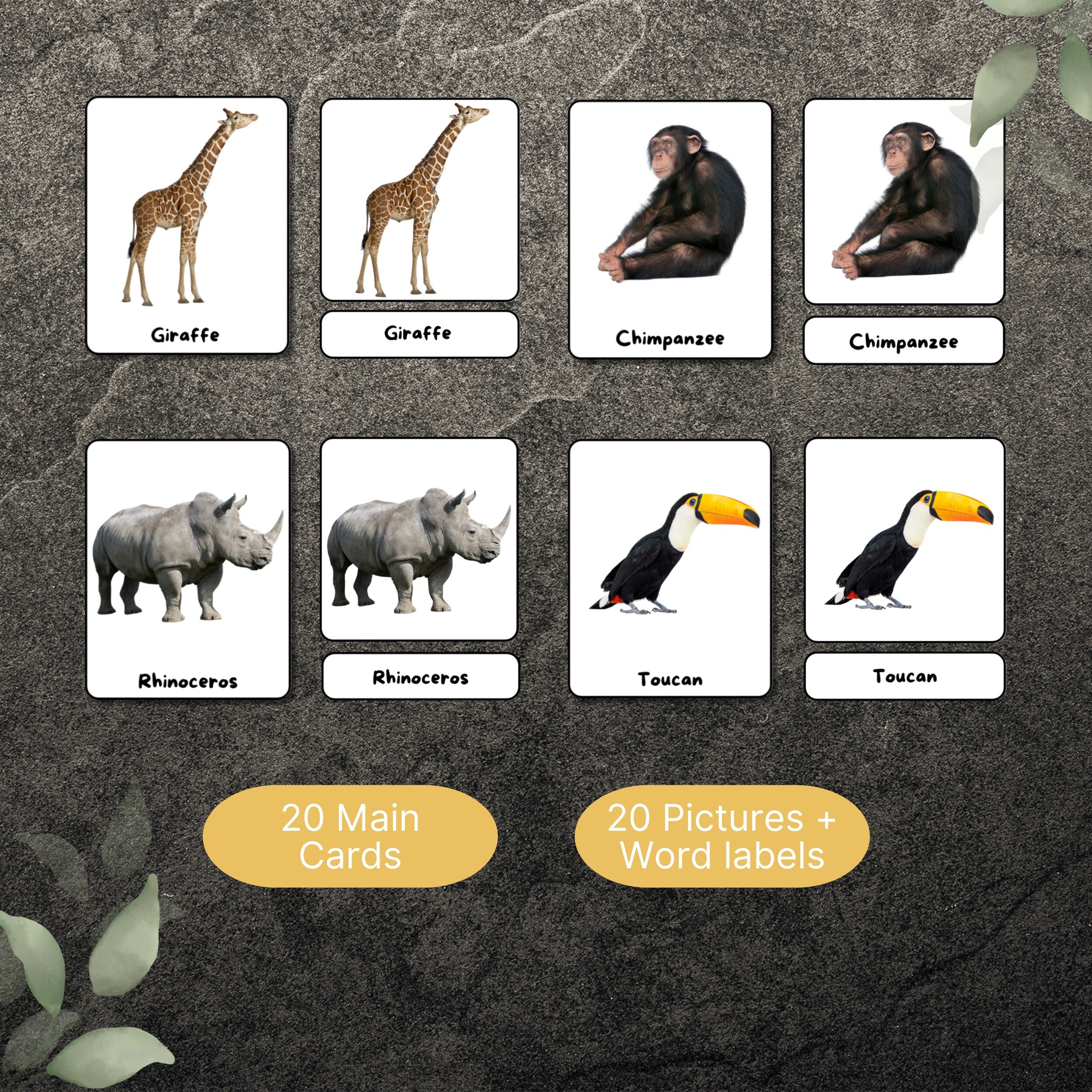 Learning JUNGLE ANIMALS in English - 20 Real Pictures - Montessori ...