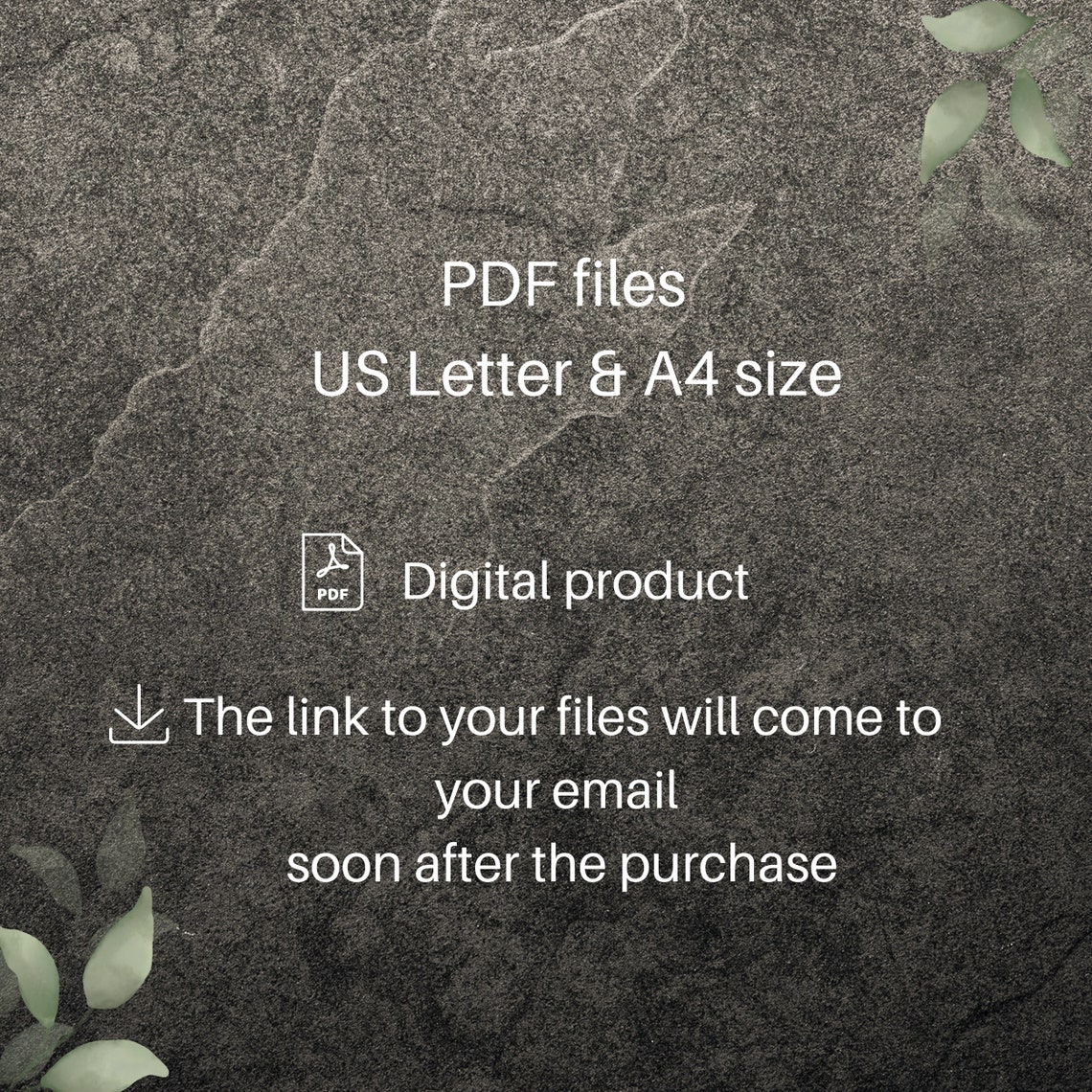 Learning INSECTS in English -20 Real Pictures - Montessori Cards ...