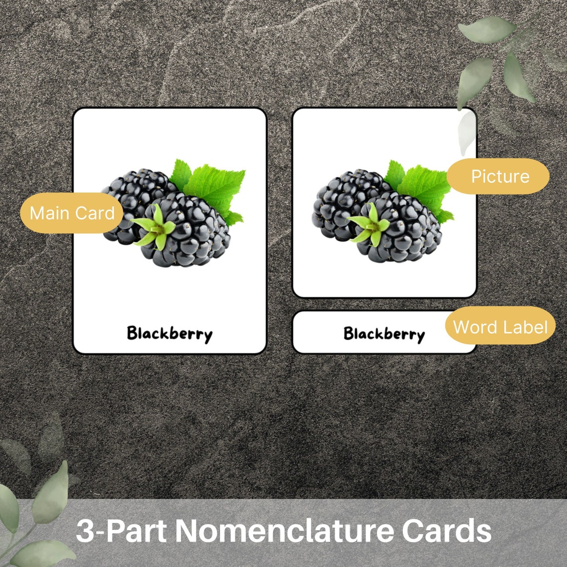 Learning FRUITS in English - 32 Real Pictures - Montessori Cards ...