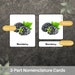 Learning FRUITS in English - 32 Real Pictures - Montessori Cards ...