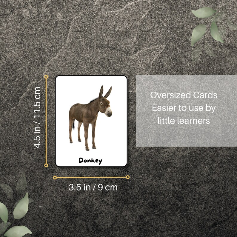 Learning FARM ANIMALS in English - 20 Real Pictures - Montessori Cards ...