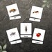 Learning INSECTS in English -20 Real Pictures - Montessori Cards ...