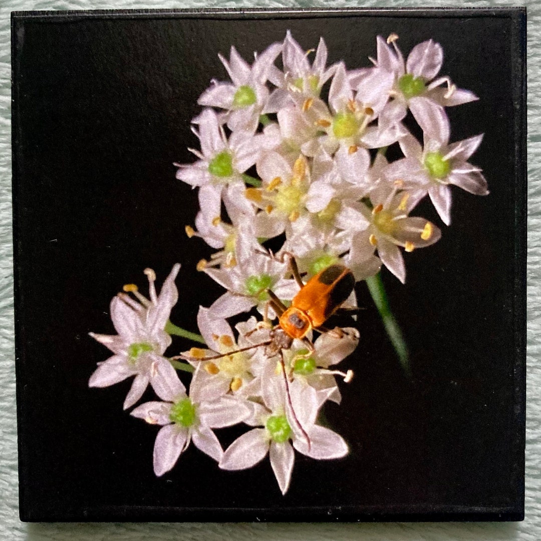 FLOWER MAGNET “bug on Tiny Wildflowers” - Etsy
