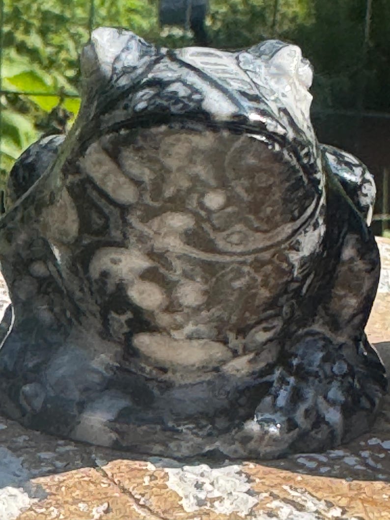 Obsidian Snake & Fossil Stone Frog Altar Guardians: Gothic Witchy Decor ...