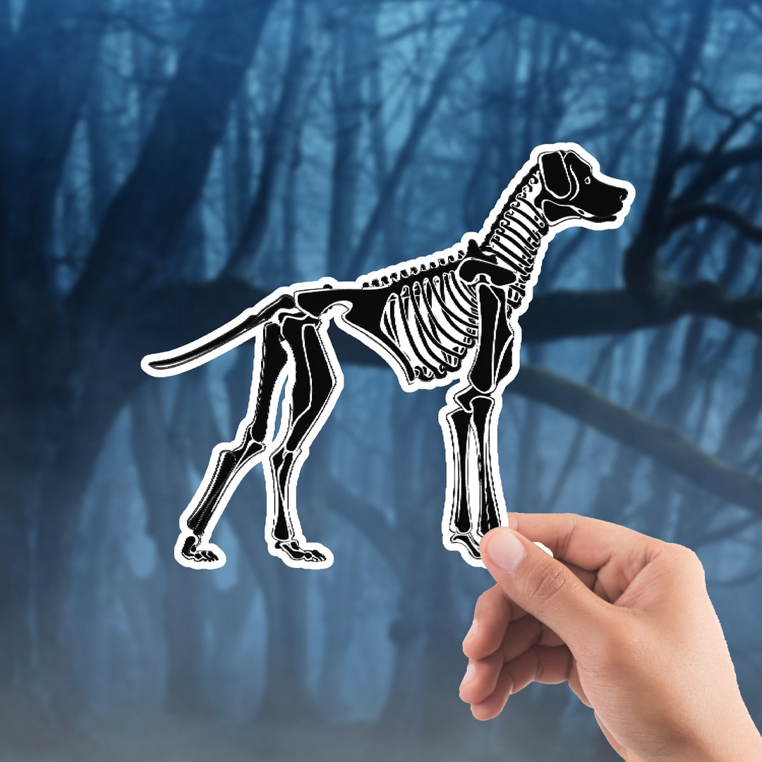 Dog Skeleton Sticker, Halloween, Skeleton, Skull, Spooky Sticker, Dog ...