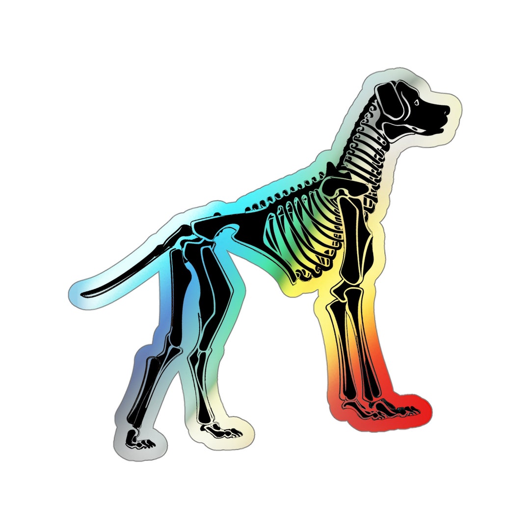 Holographic Dog Skeleton Sticker, Halloween Dog Skeleton, Spooky ...