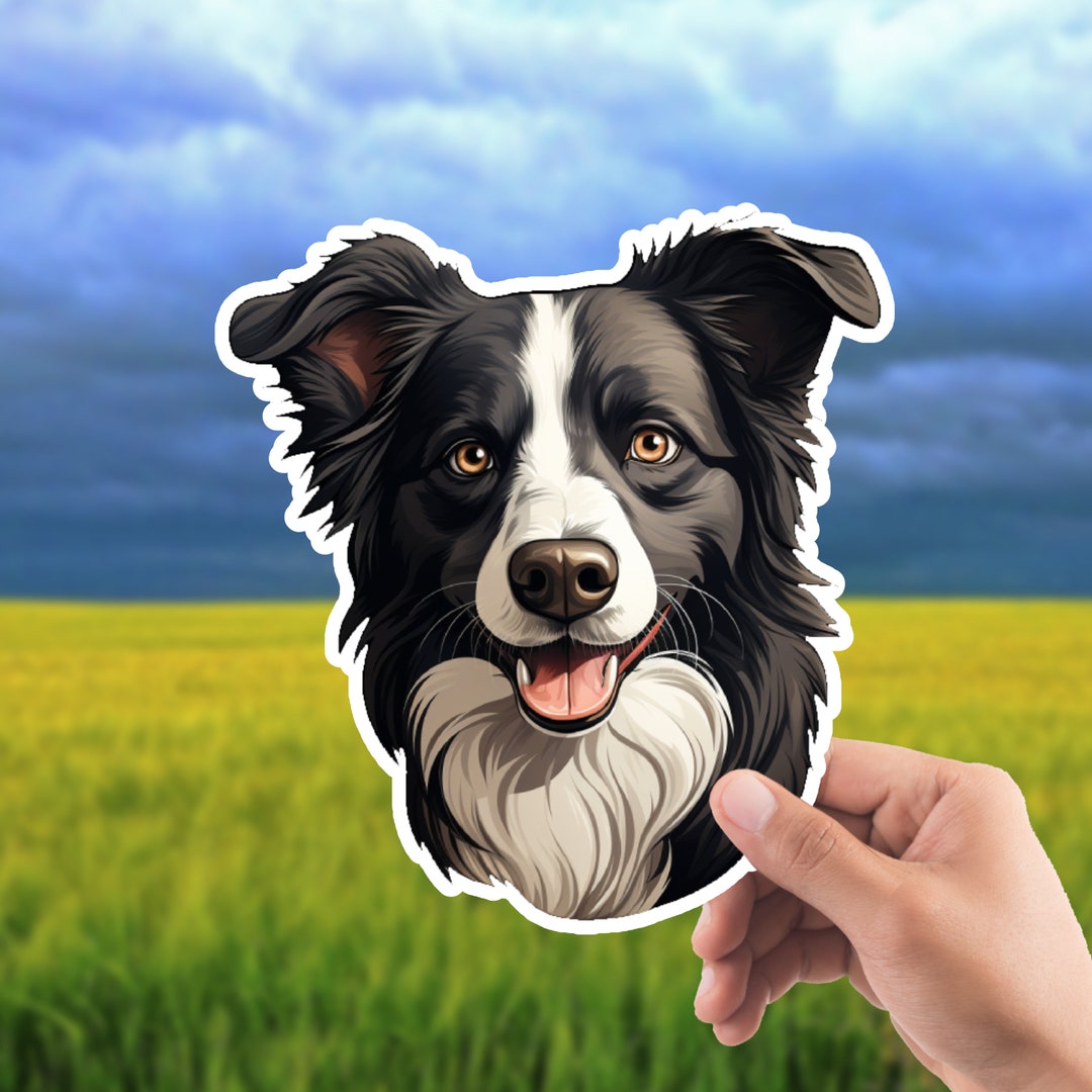 Border Collie Sticker, Dog Laptop Decal, Water Resistant Vinyl - Etsy