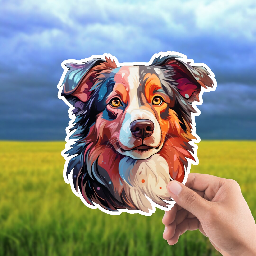 Border Collie Sticker, Border Collie, Collie Sticker, Dog Sticker ...