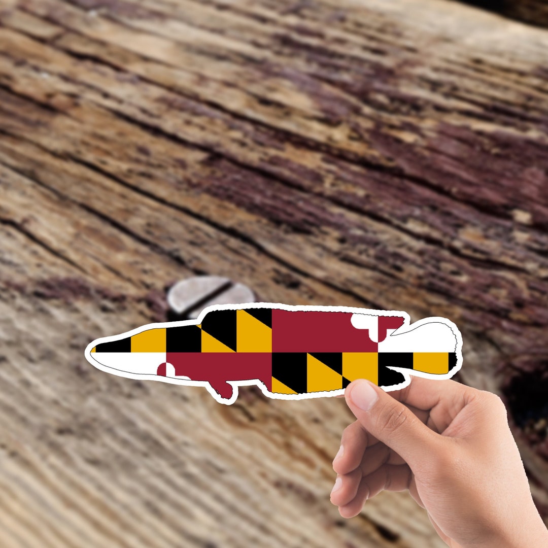 Maryland Flag Snakehead Fish Sticker, Angler Gift - Etsy