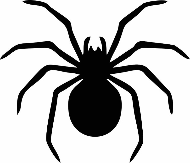Spider Svg 6 Instant Dowland Png svg pdf dxf Ai Cdr Plan - Etsy