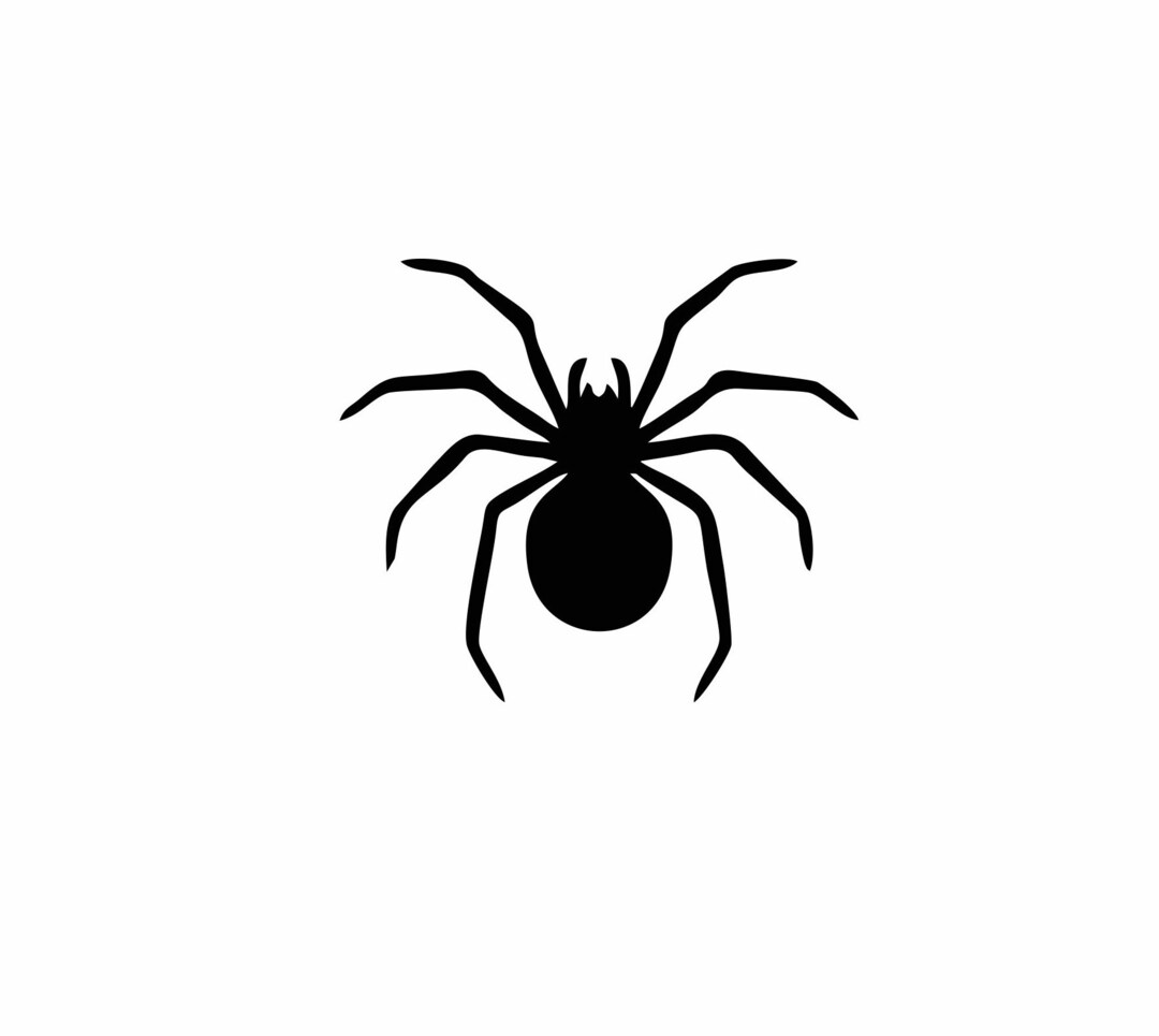 Spider Svg 6 Instant Dowland Png svg pdf dxf Ai Cdr Plan - Etsy