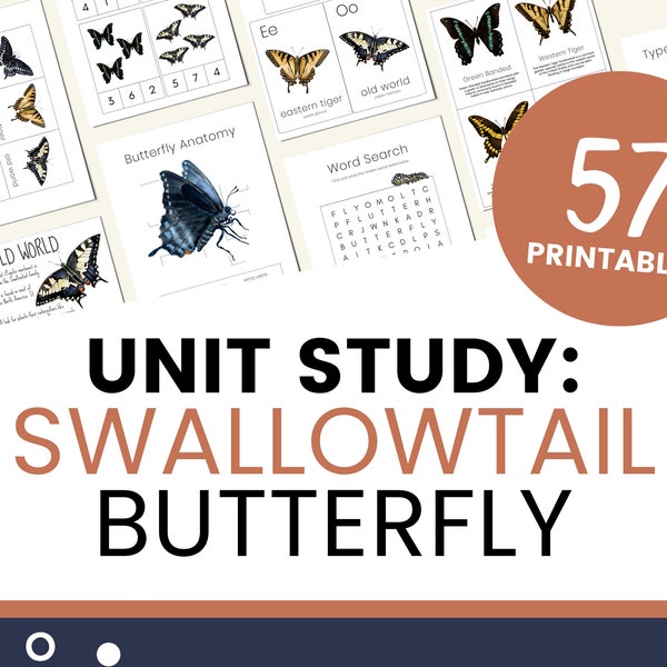 Butterfly Anatomy - Etsy