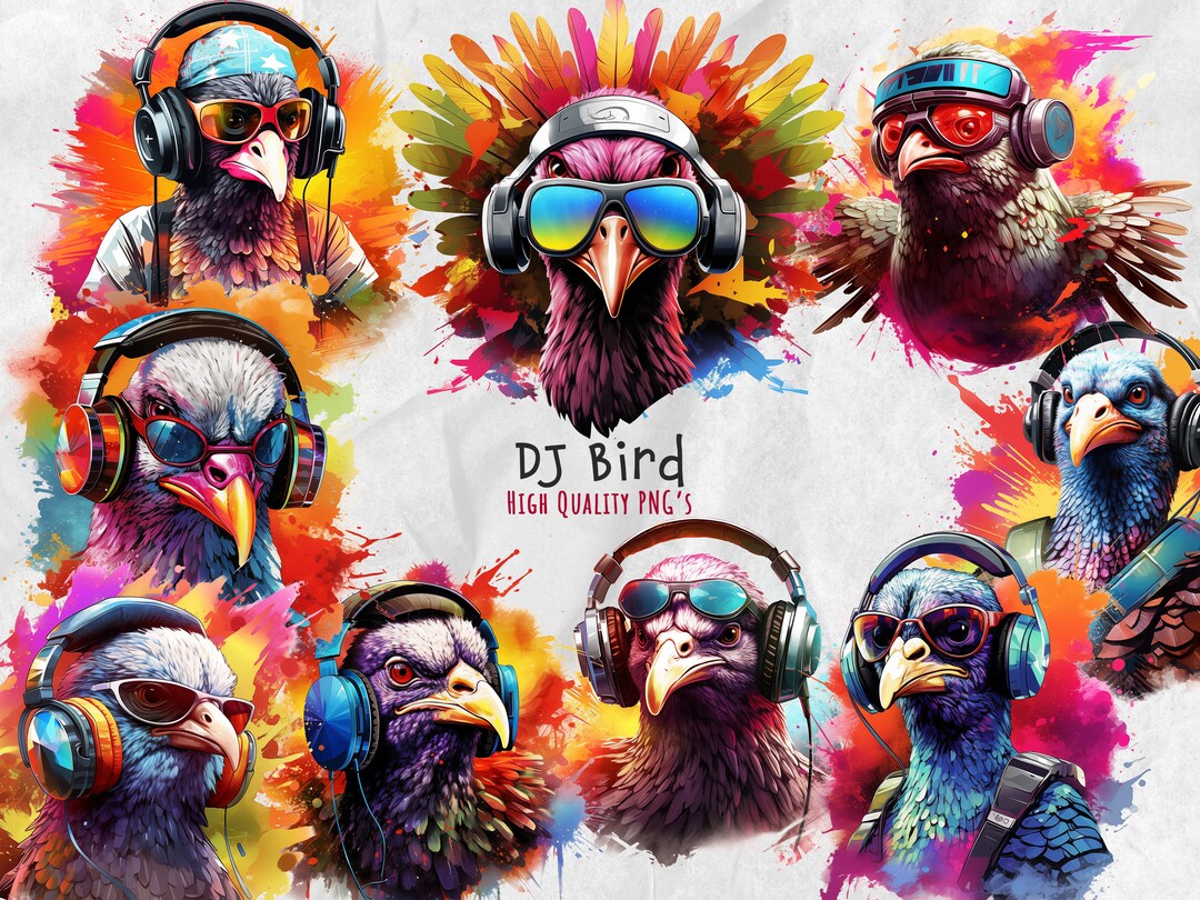 Colorful DJ Gamer Bird PNG Bundle 10 Digital Files Retro Graffiti ...