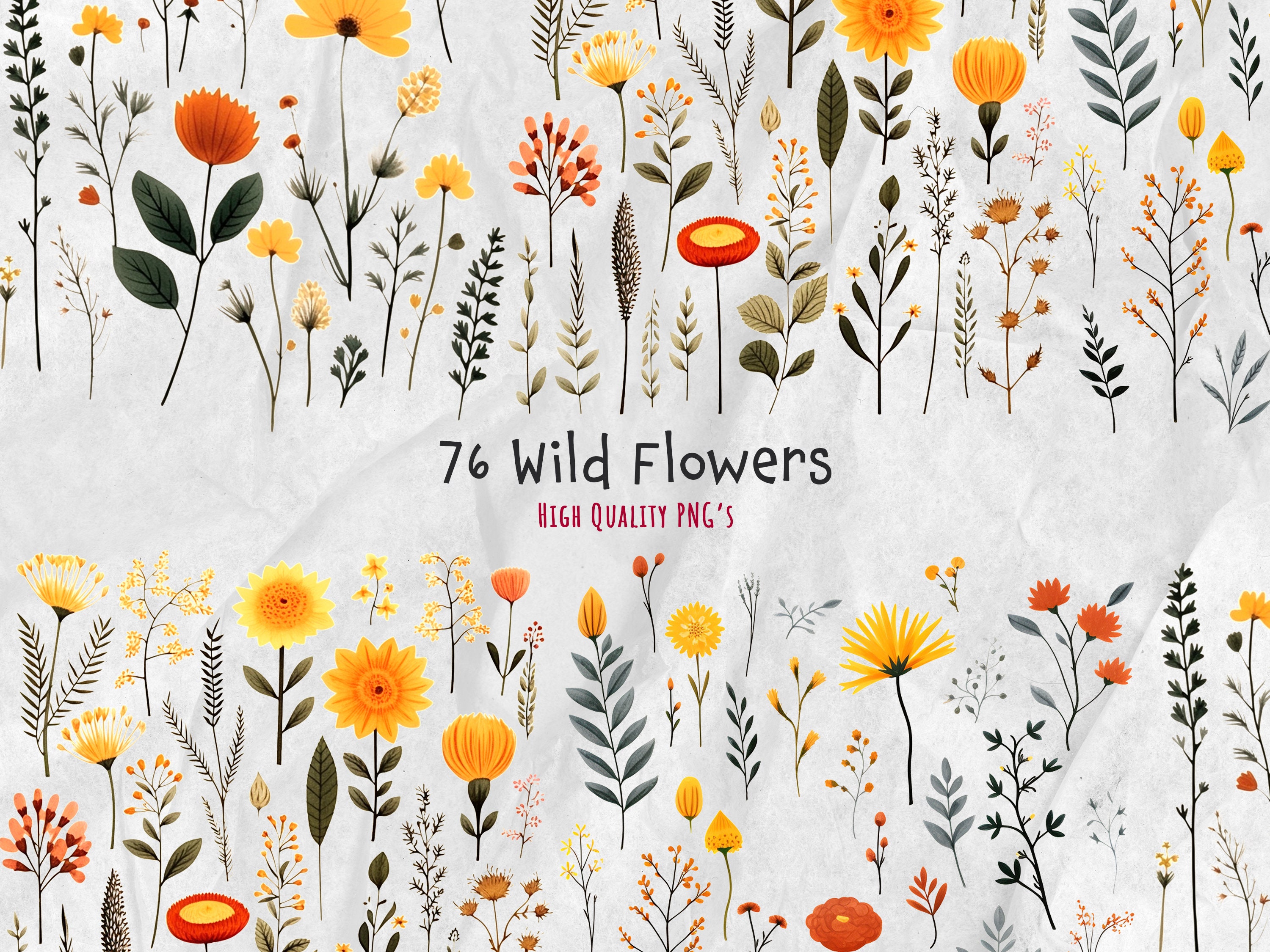 Wild Flowers, Floral Decorations, PNG and PSD Transparent Background ...