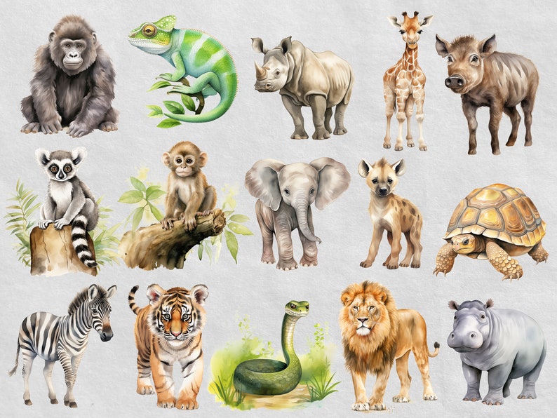 Cute Safari Watercolor Animals Transparent PNG Clipart, Print up to ...