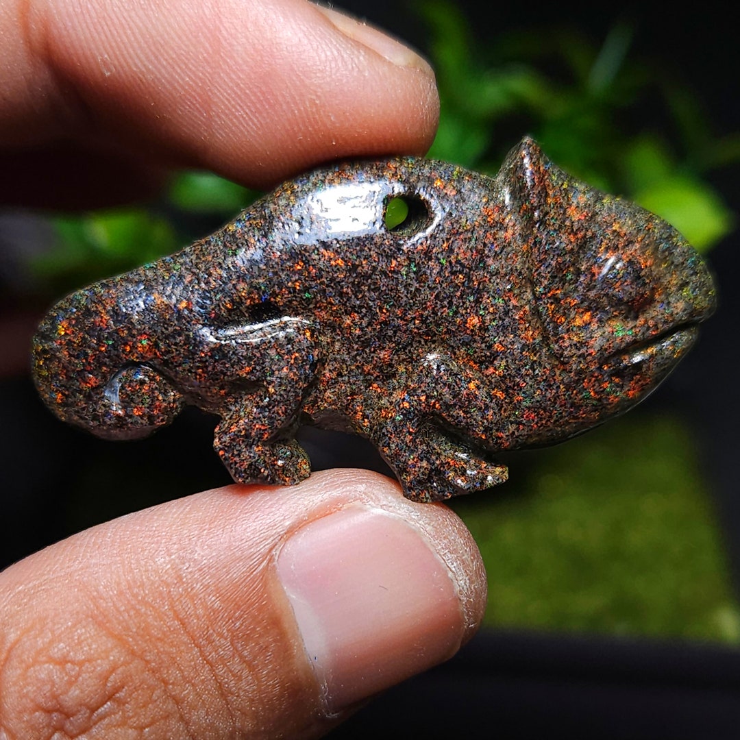 Carving Opal Andamooka Chameleon 35.65 Ct - Etsy