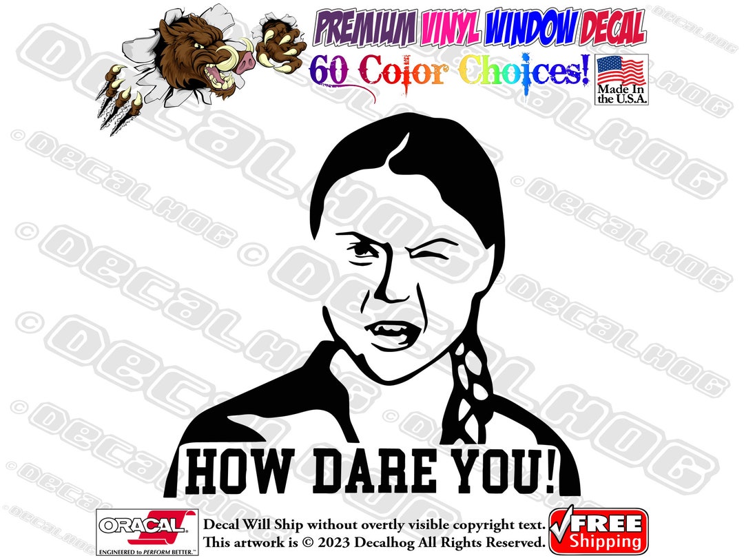 Greta Thunberg How Dare You Vinyl Decal Car Truck Laptop Wall Window ...