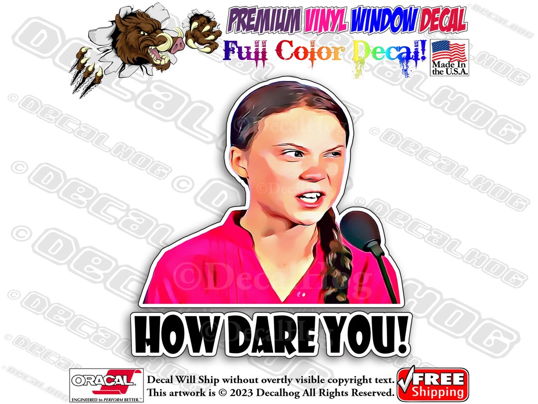 Greta Decal How Dare You Full Color Car Truck Laptop Wall Window ...