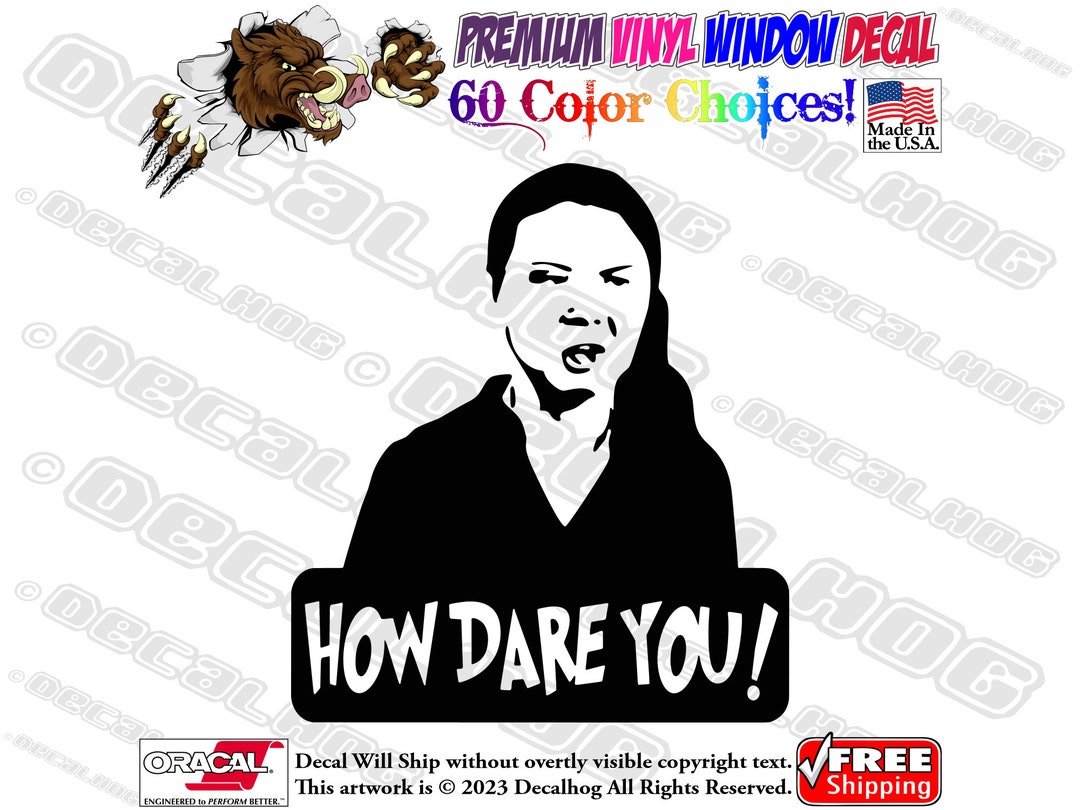 Greta How Dare You Vinyl Decal Car Truck Laptop Wall Window Graphics ...