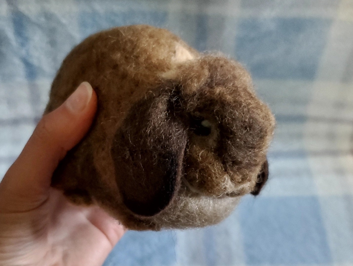 Needle Felt Mini Lop Bunny Show Quality Posed Made to Order - Etsy