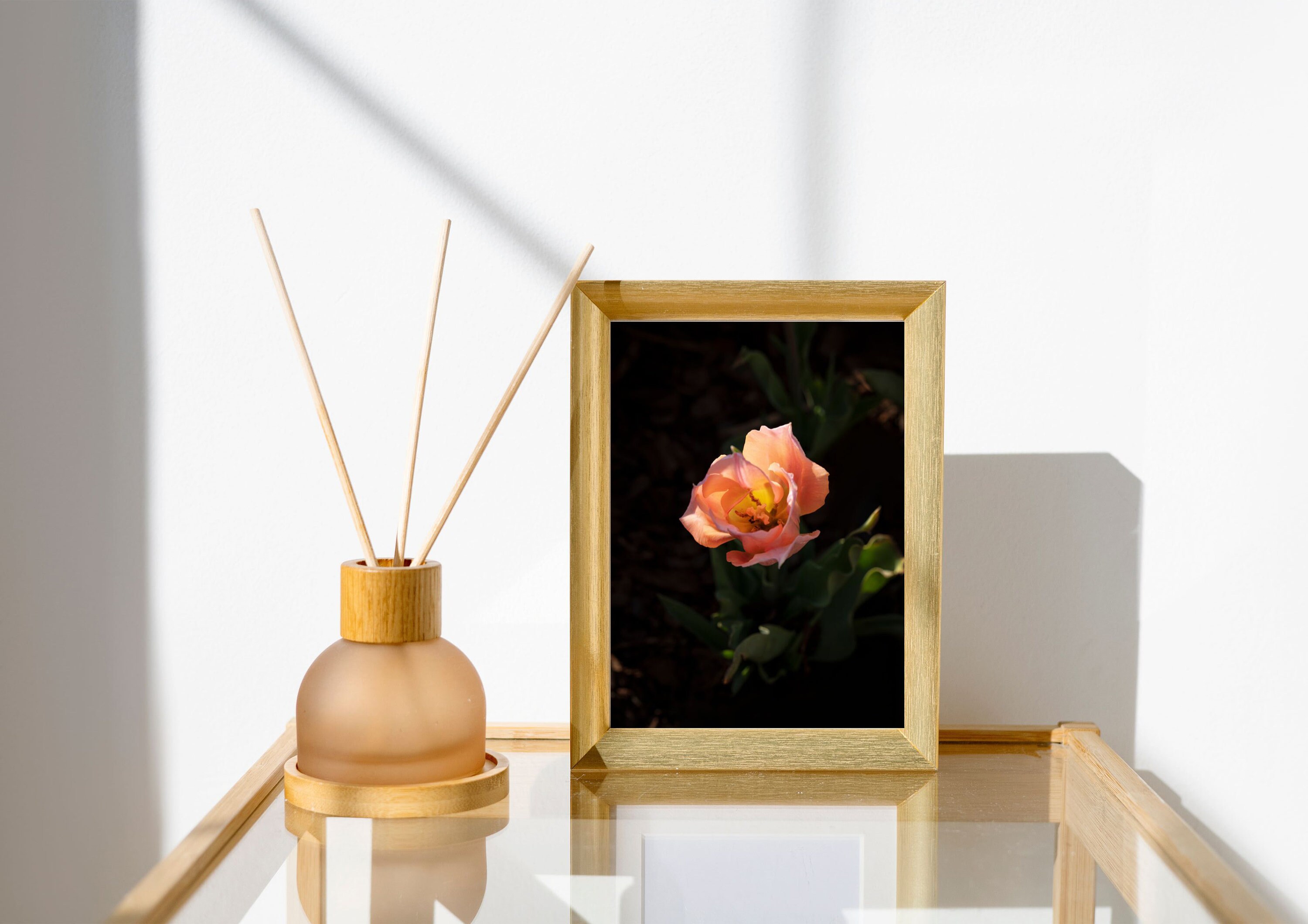 Orange Tulip| Nature Photography| Floral| Garden| Flower| Wall Art - Etsy