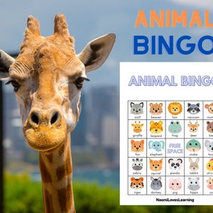 Animal Bingo Cards - Etsy