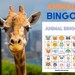Animal Bingo Cards - Etsy