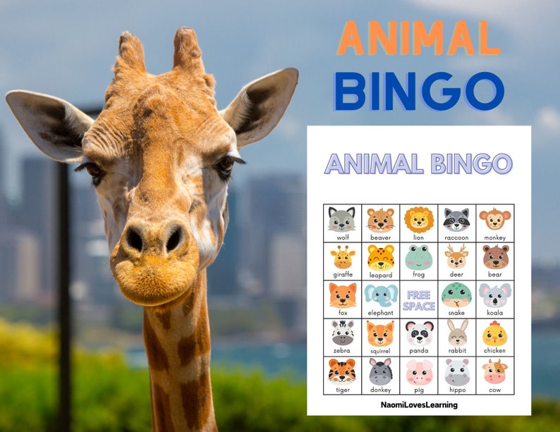 Animal Bingo Cards - Etsy