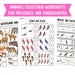 Animal Collection Worksheets for Preschool and Kindergarten - Etsy