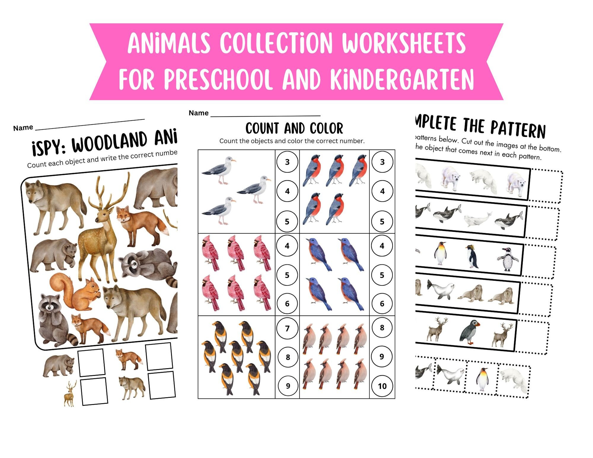 Animal Collection Worksheets for Preschool and Kindergarten - Etsy