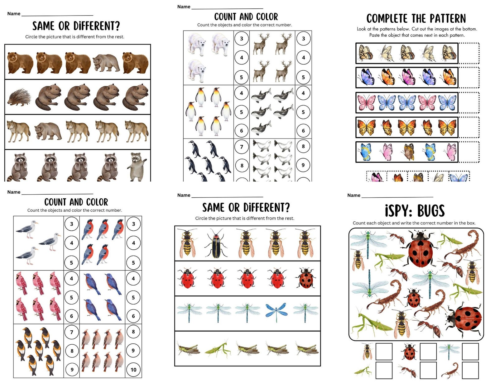 Animal Collection Worksheets for Preschool and Kindergarten - Etsy