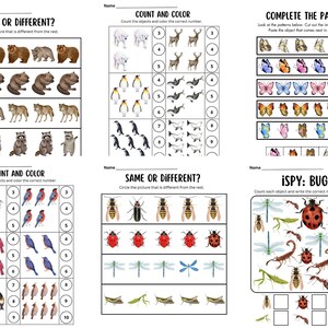 Animal Collection Worksheets for Preschool and Kindergarten - Etsy