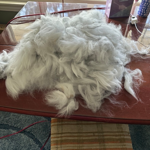 Angora Fiber - Etsy