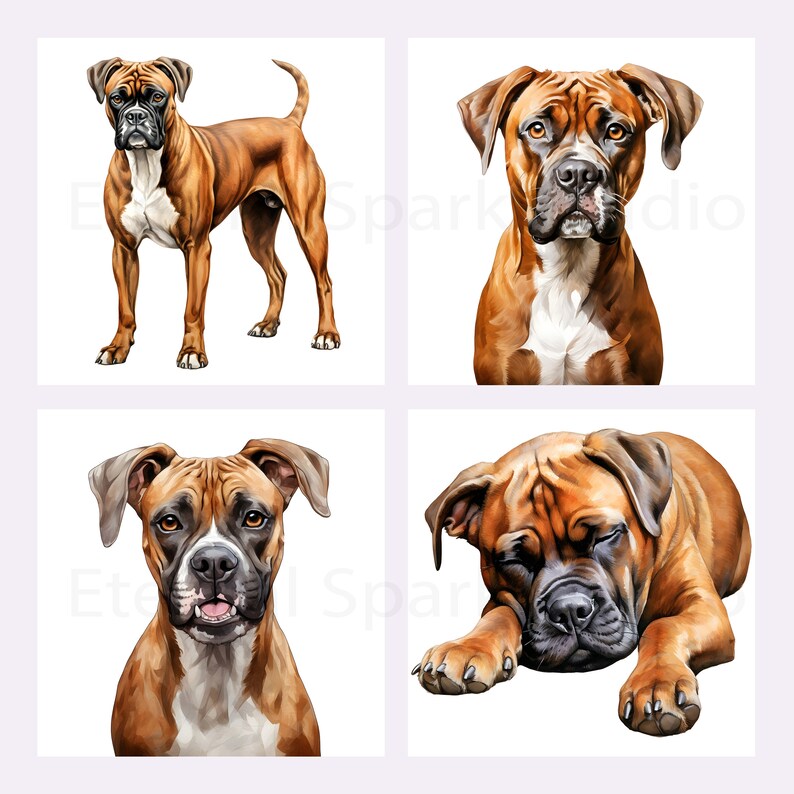 Watercolor Boxer Dog Clip Art, 12 High Quality 300 DPI JPG Images With ...