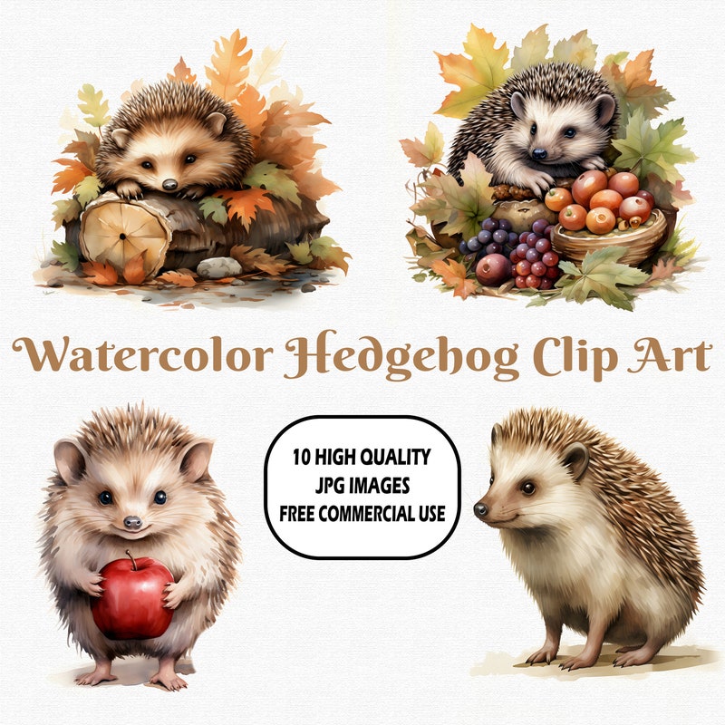 Hedgehog Clip Art - Etsy