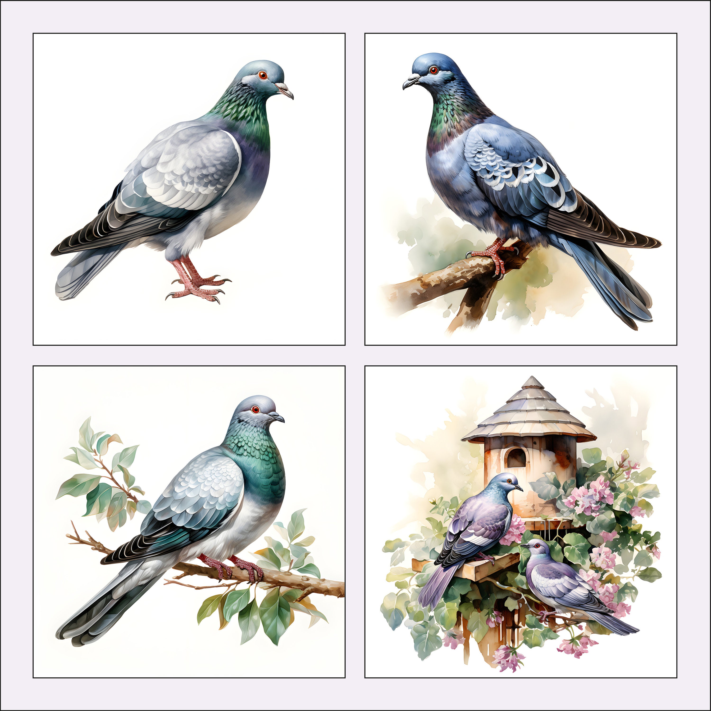 Watercolor Pigeon Clip Art, 10 High Quality (300 DPI) JPG Images With ...