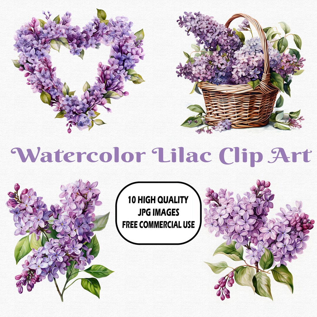 Watercolor Lilac Clip Art, 10 High Quality (300 DPI) JPG Images With ...