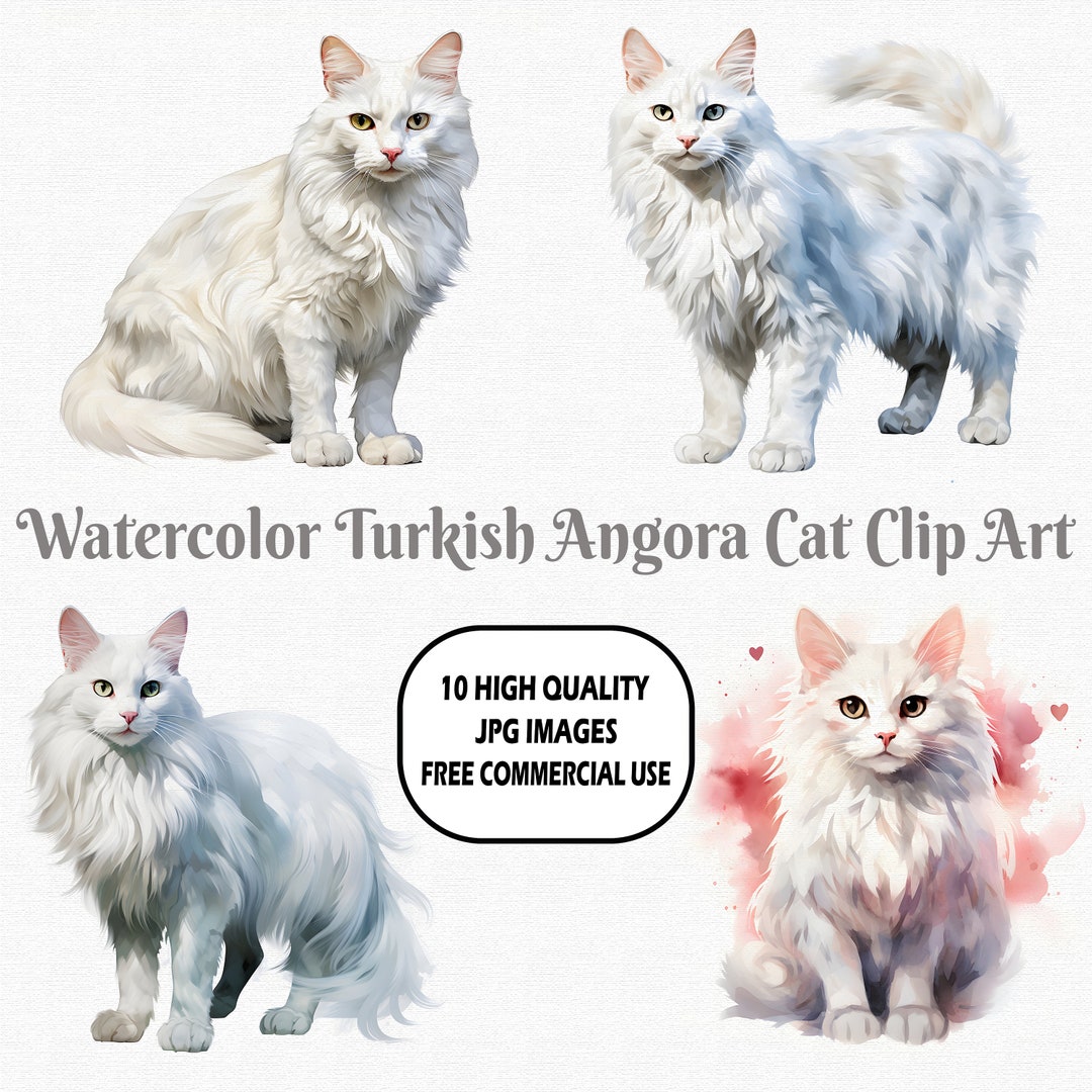 Watercolor Turkish Angora Cat Clip Art, 10 High Quality (300 DPI) JPG ...