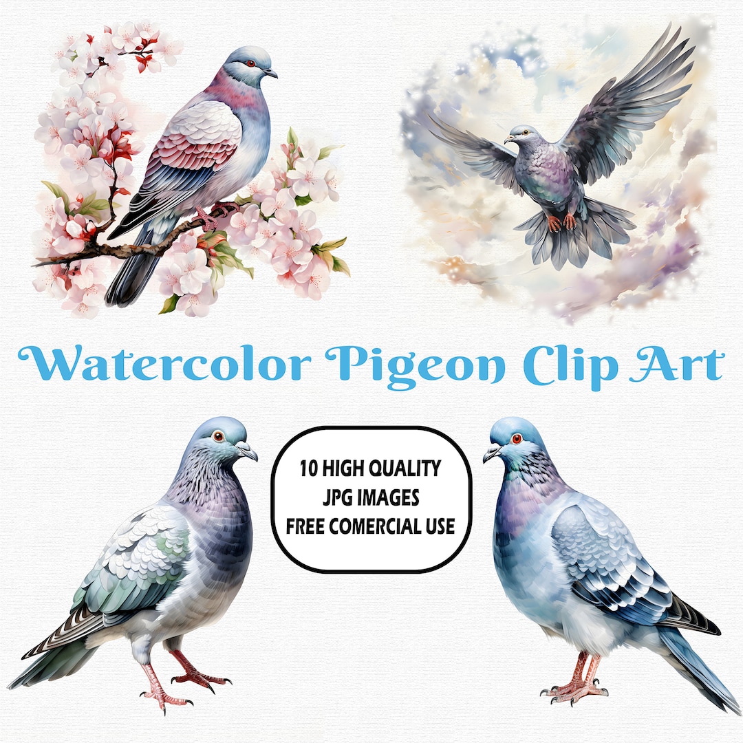 Watercolor Pigeon Clip Art, 10 High Quality (300 DPI) JPG Images With ...