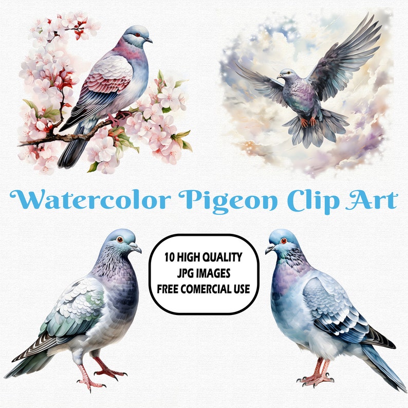Watercolor Pigeon Clip Art, 10 High Quality (300 DPI) JPG Images With ...