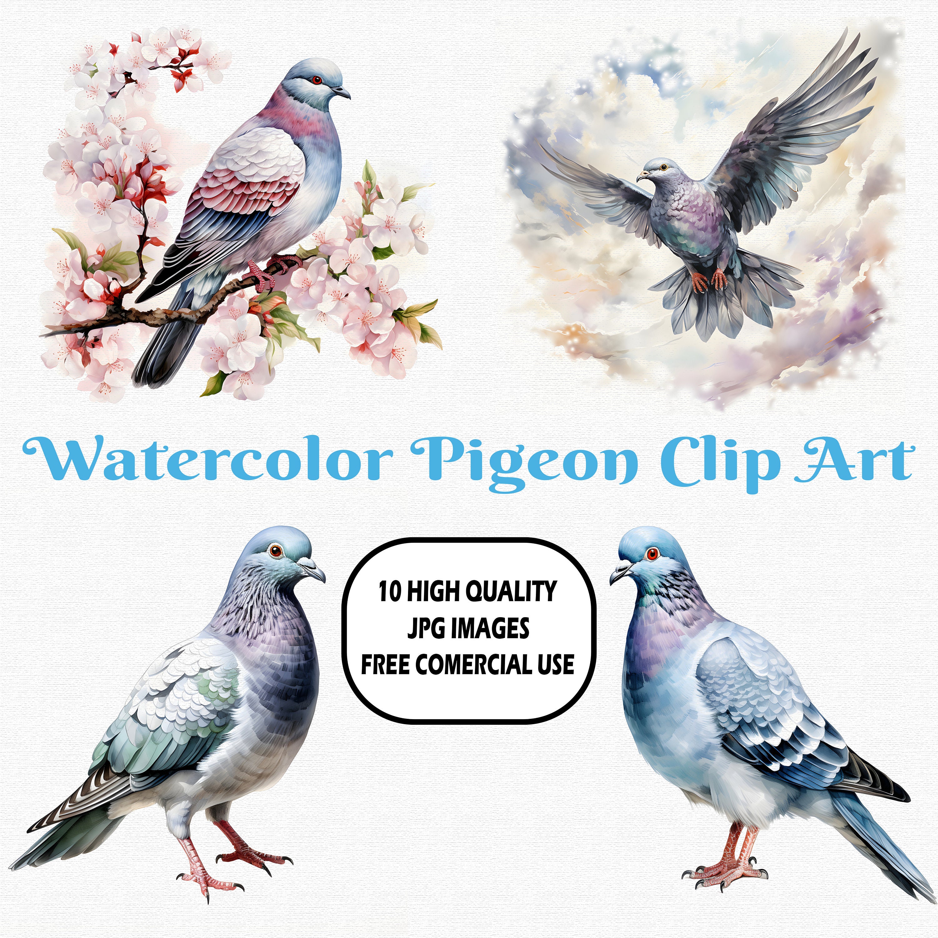 Watercolor Pigeon Clip Art, 10 High Quality (300 DPI) JPG Images With ...